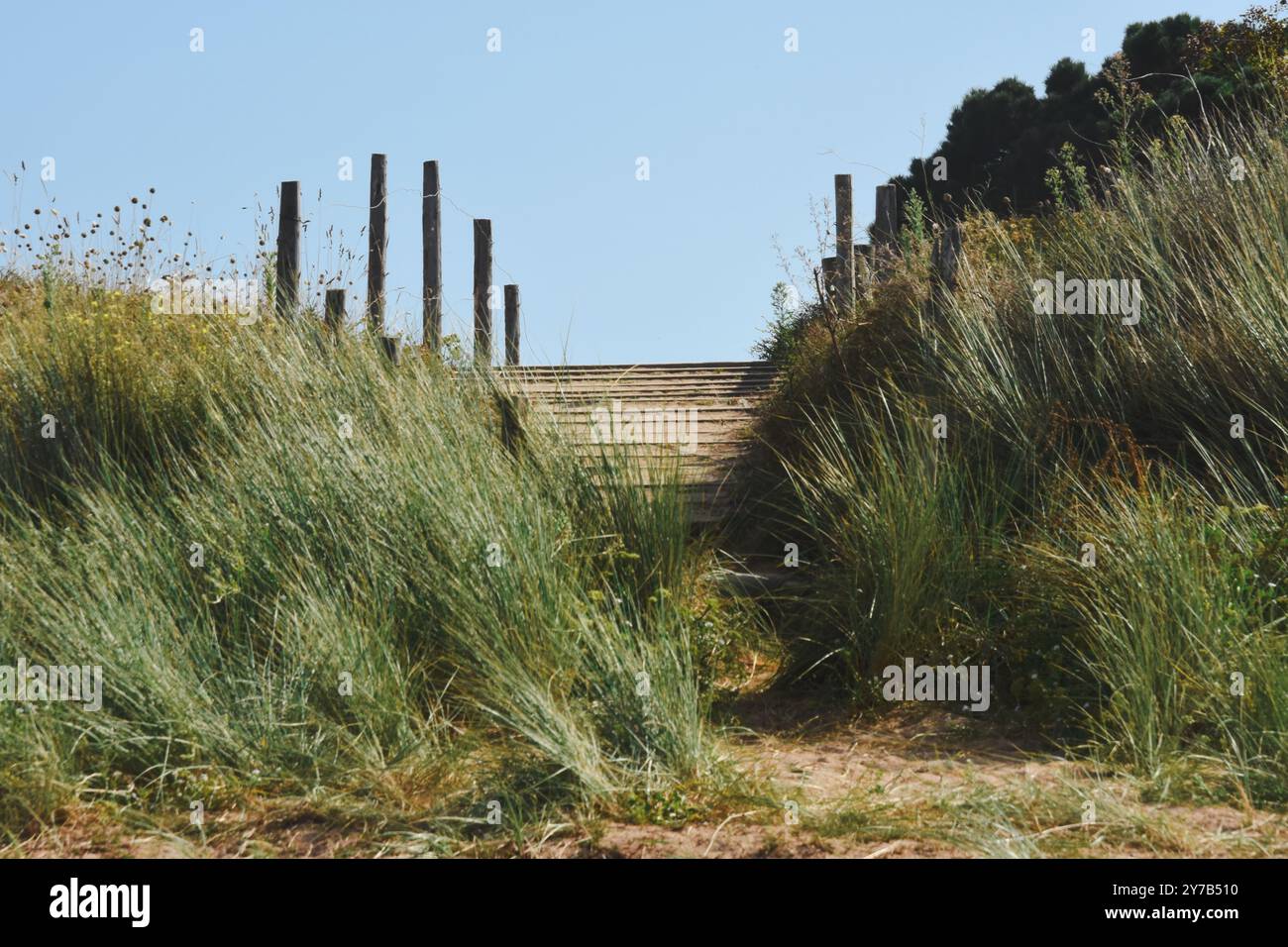Small wooden bridge near the beach Stock Photo - Alamy