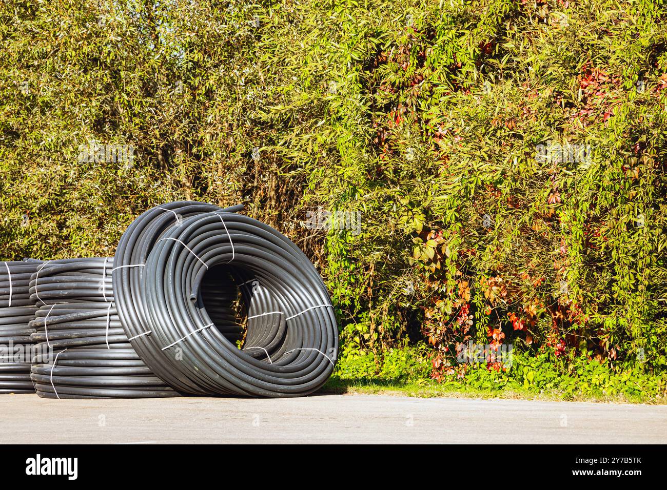 roll of black plastic pipe in the park. coiled plastic pipe. park ...