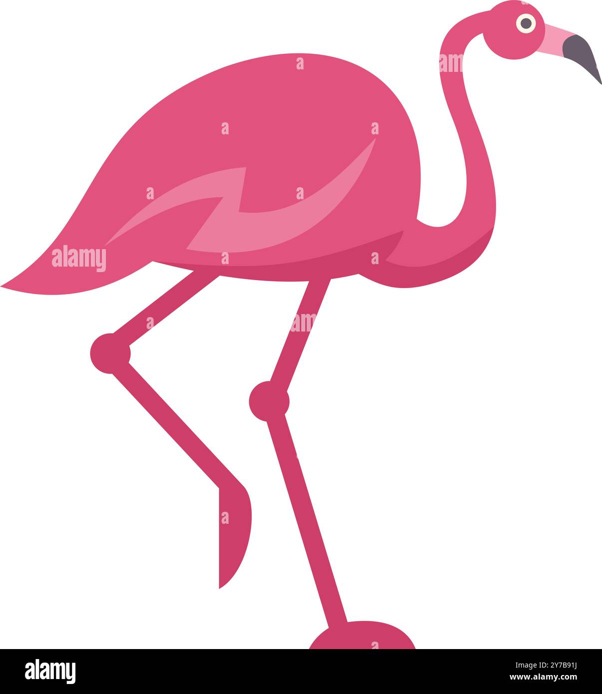 Pink flamingo walking with long legs and neck, isolated on white ...