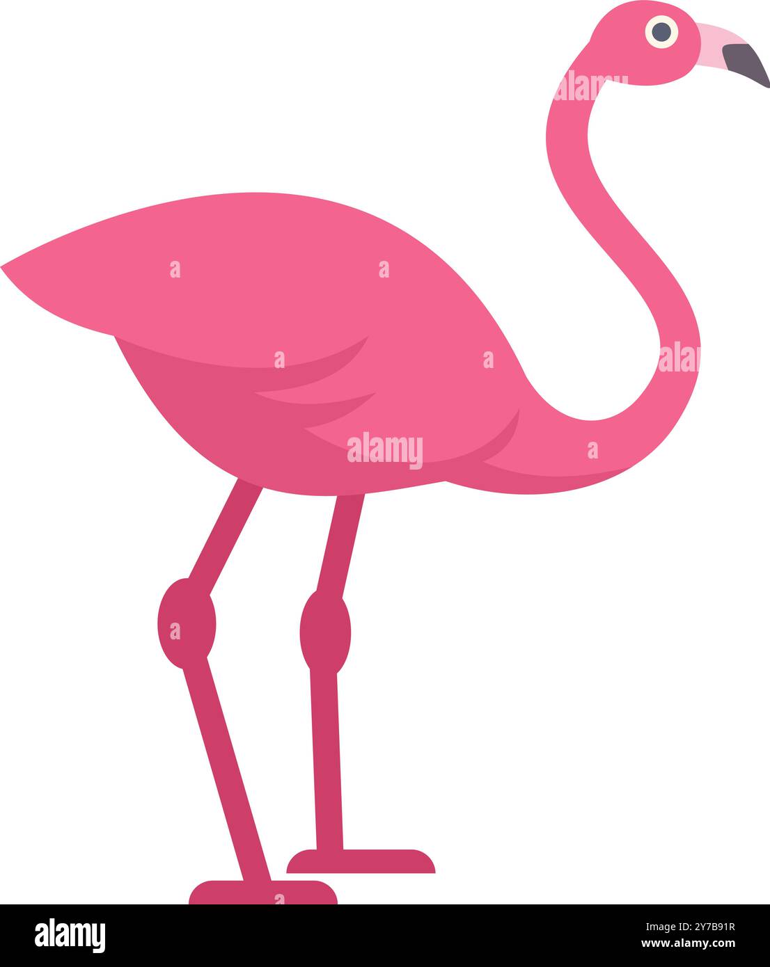 Feet legs flamingo Stock Vector Images - Alamy