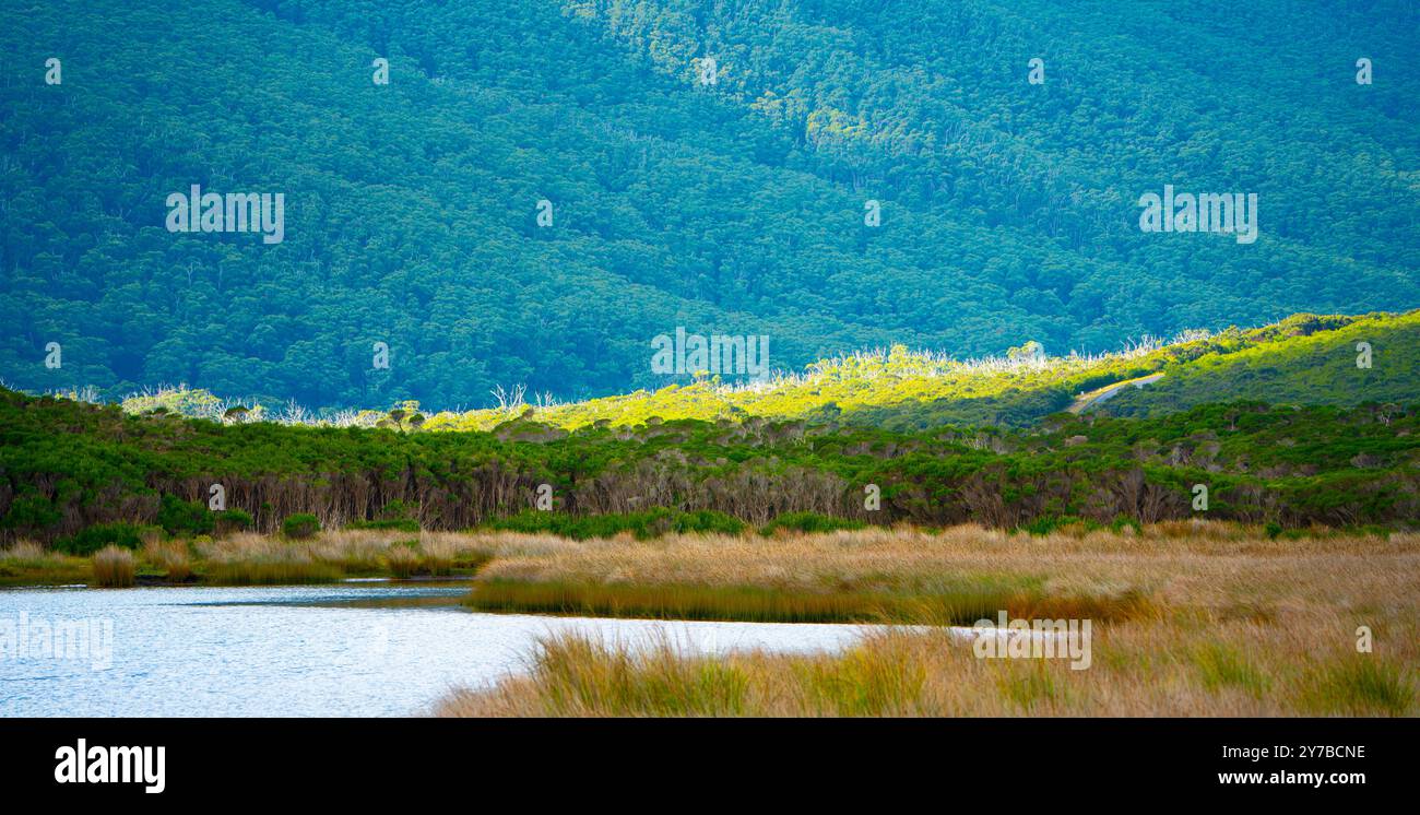 Tidal river, Wilsons Promontory National Park, Victoria, Australia. The ...