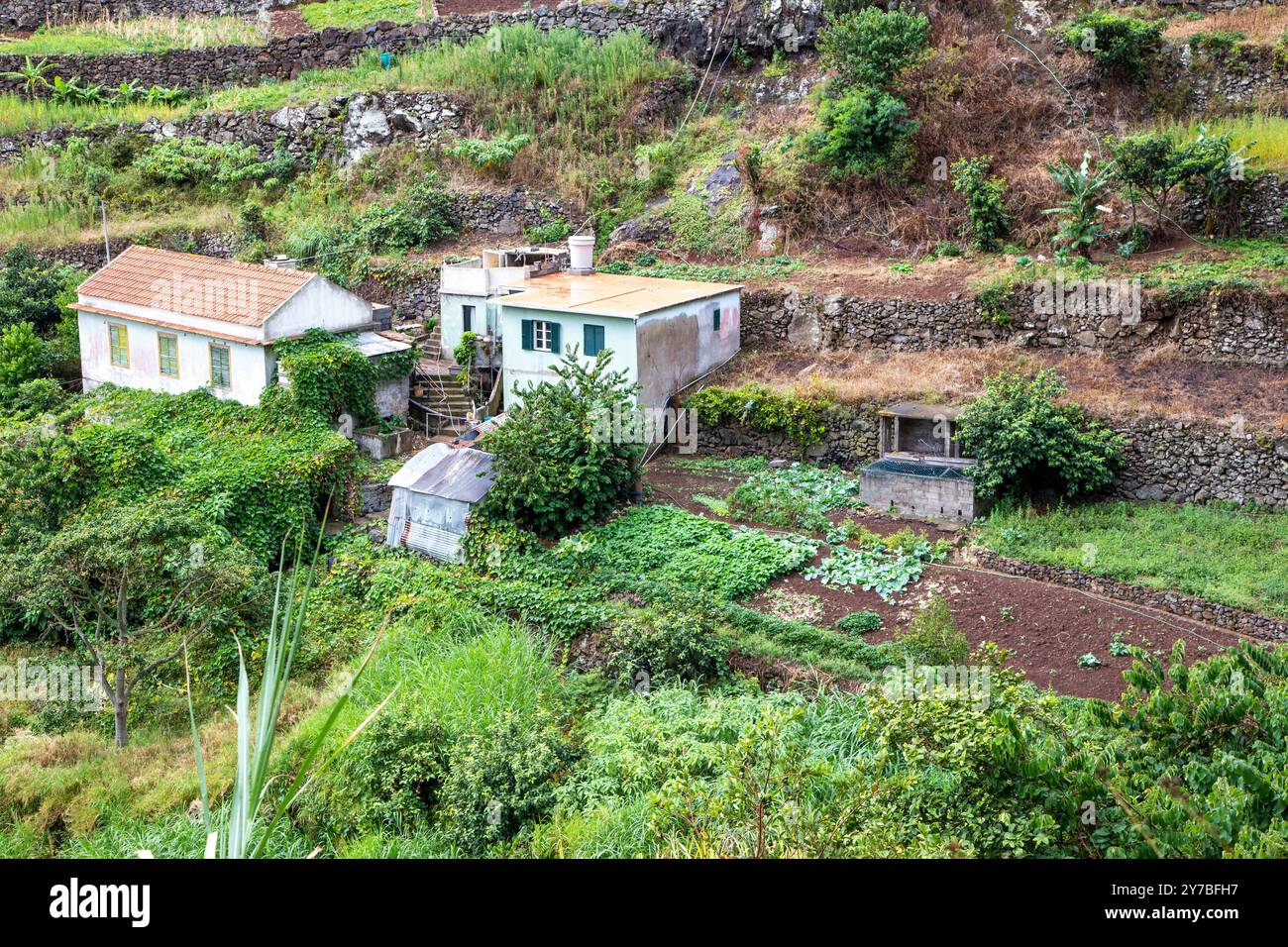 Terraced gardens on the hillside on the slopes of a mountain on the ...