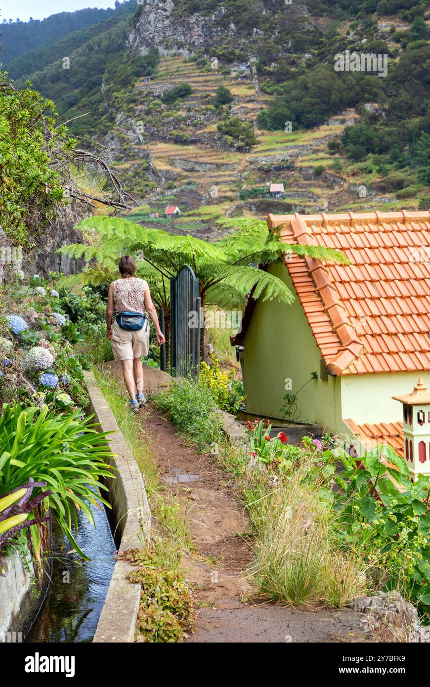 walking along the Levada dos Maroços a Levada on the Portuguese Island ...