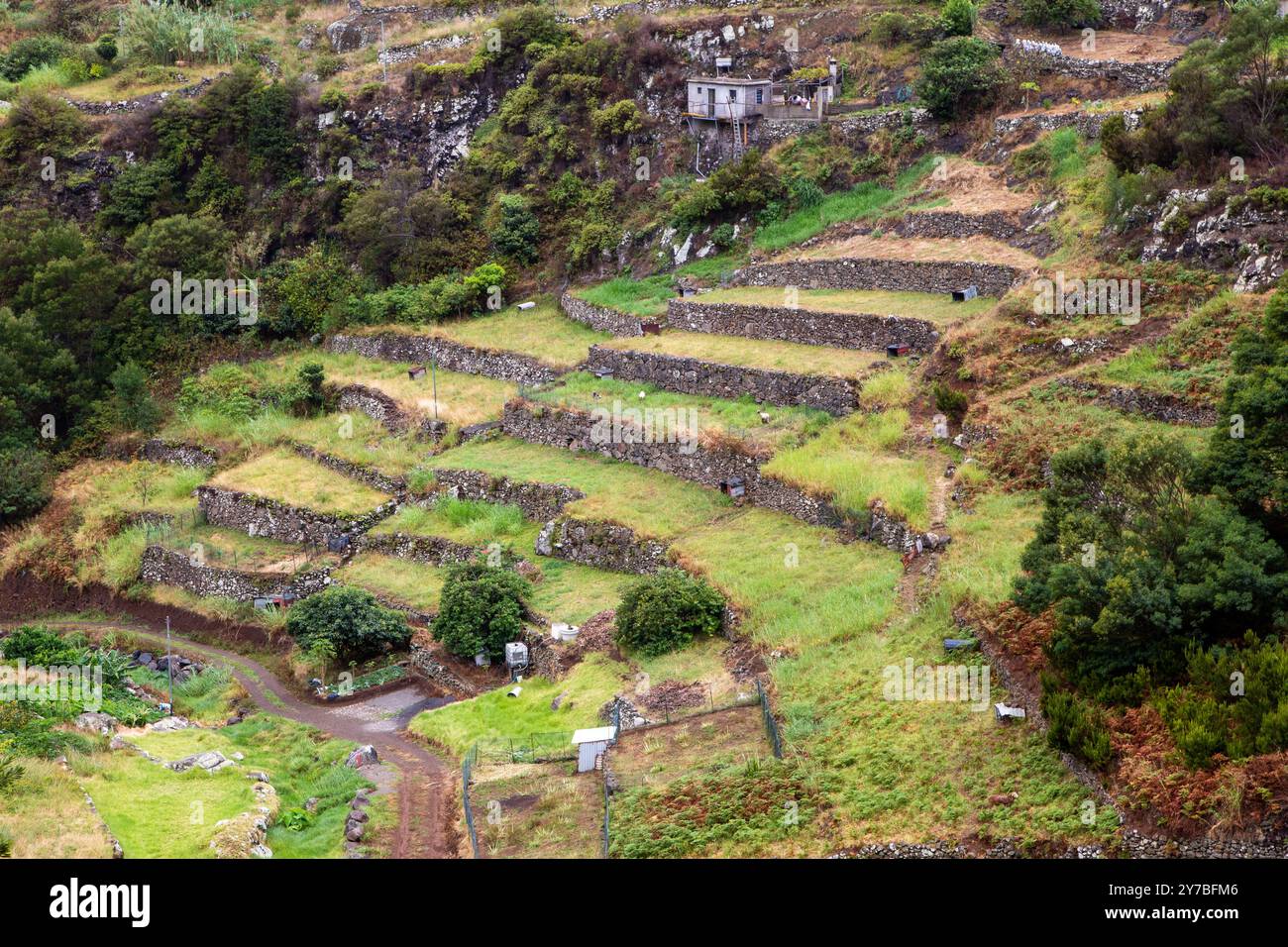 Terraced gardens on the hillside on the slopes of a mountain on the ...