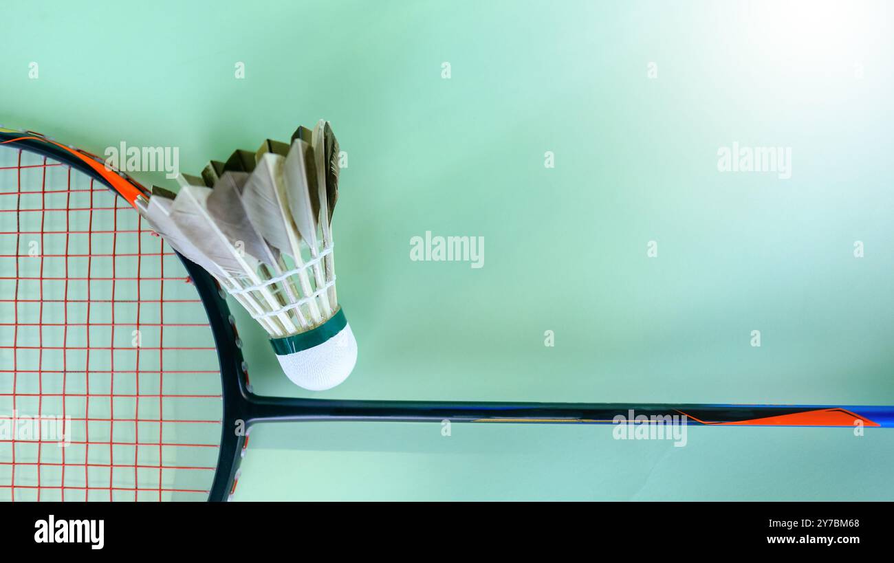 White badminton shuttlecocks and badminton rackets on green background ...