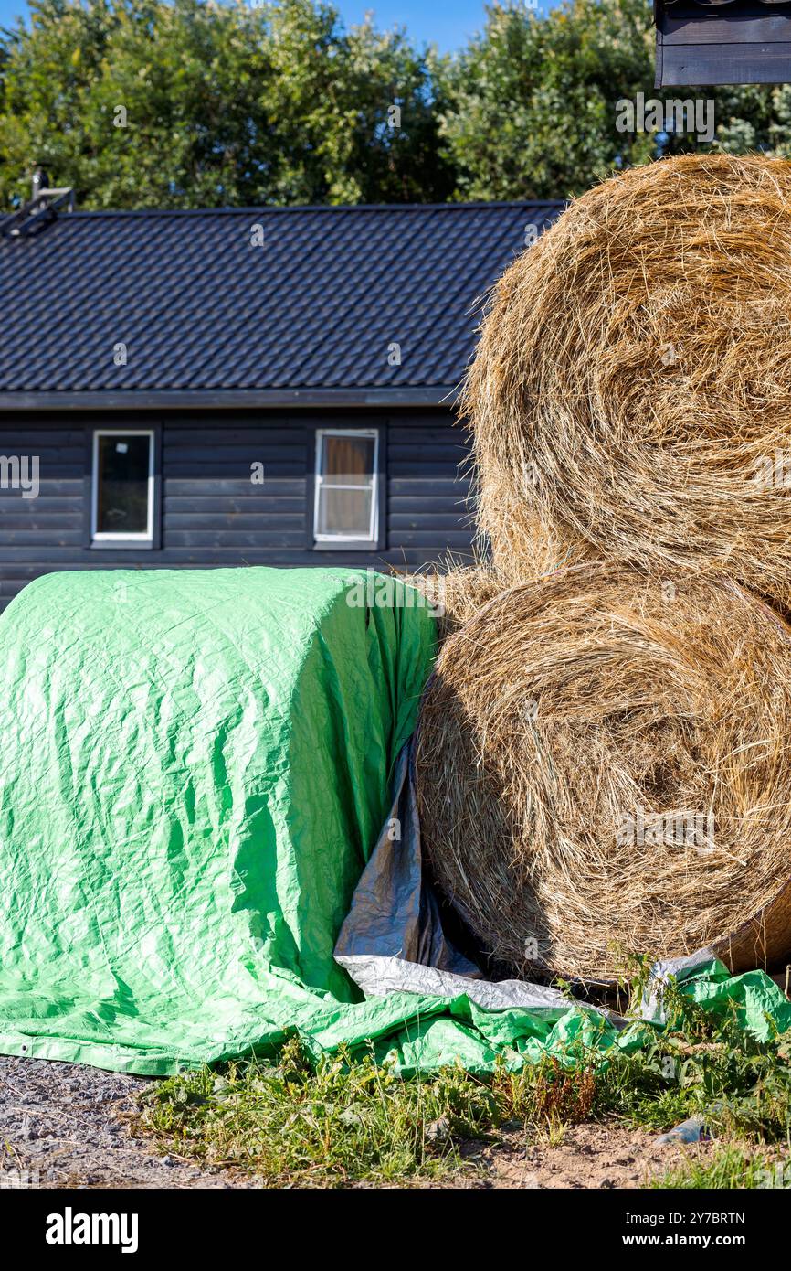 Stacked bales of hay lie in storage in barn. Rural organic nature farm ...