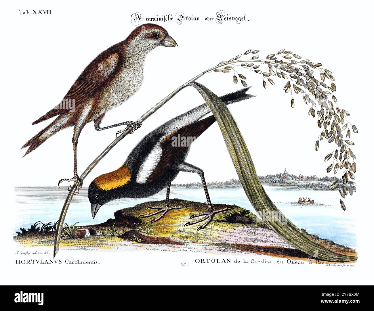 Caroline islands hi-res stock photography and images - Alamy