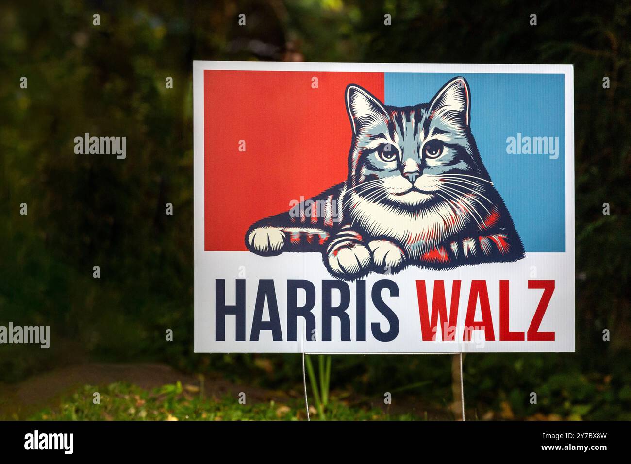 A 2024 US presidential election yard sign with a cat portrait in ...