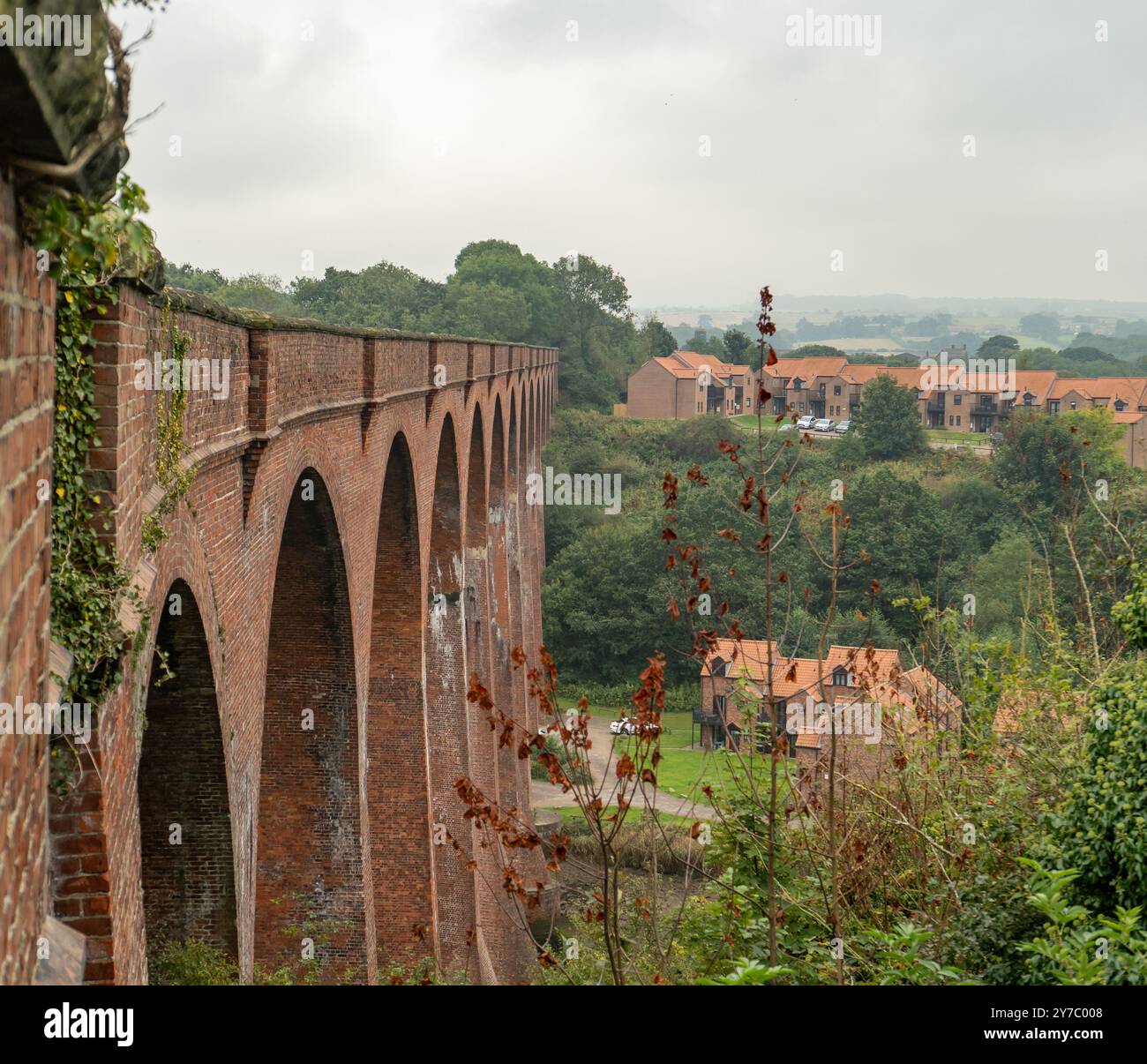 Historic Larpool viaduct on the Cinder Track Stock Photo - Alamy