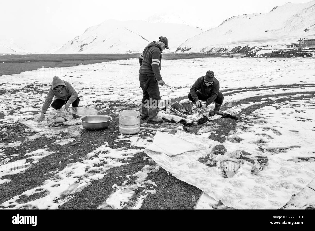 Kyrgyzstan, Kel-Suu village, yak slaughter Stock Photo - Alamy