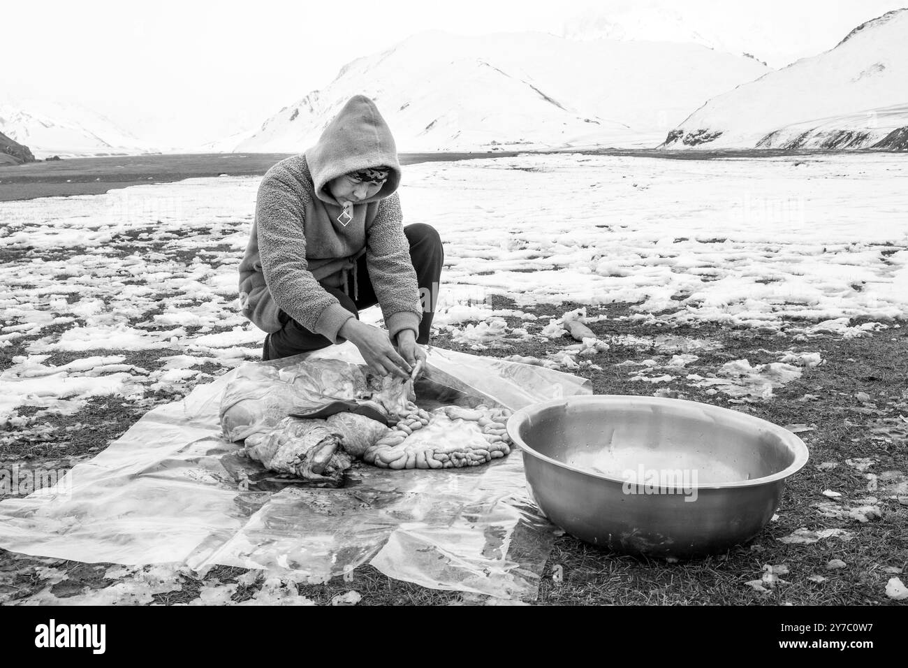 Kyrgyzstan, Kel-Suu village, yak slaughter Stock Photo - Alamy