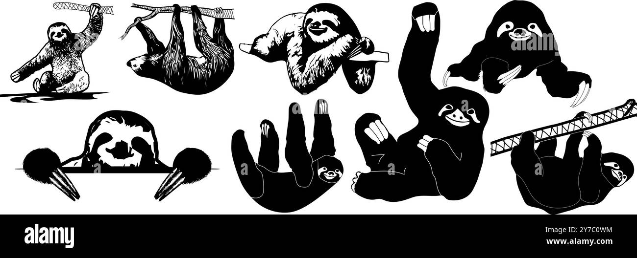 Sloth clipart silhouette hi-res stock photography and images - Alamy