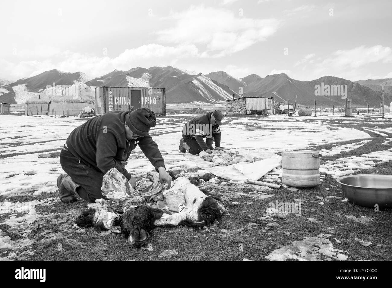 Kyrgyzstan, Kel-Suu village, yak slaughter Stock Photo - Alamy