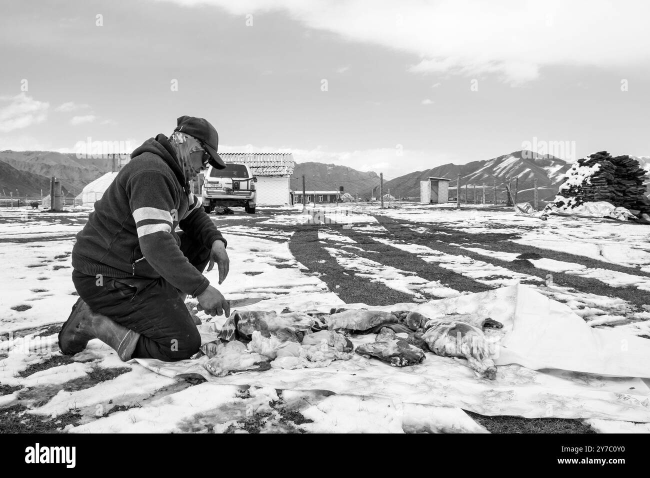 Kyrgyzstan, Kel-Suu village, yak slaughter Stock Photo - Alamy