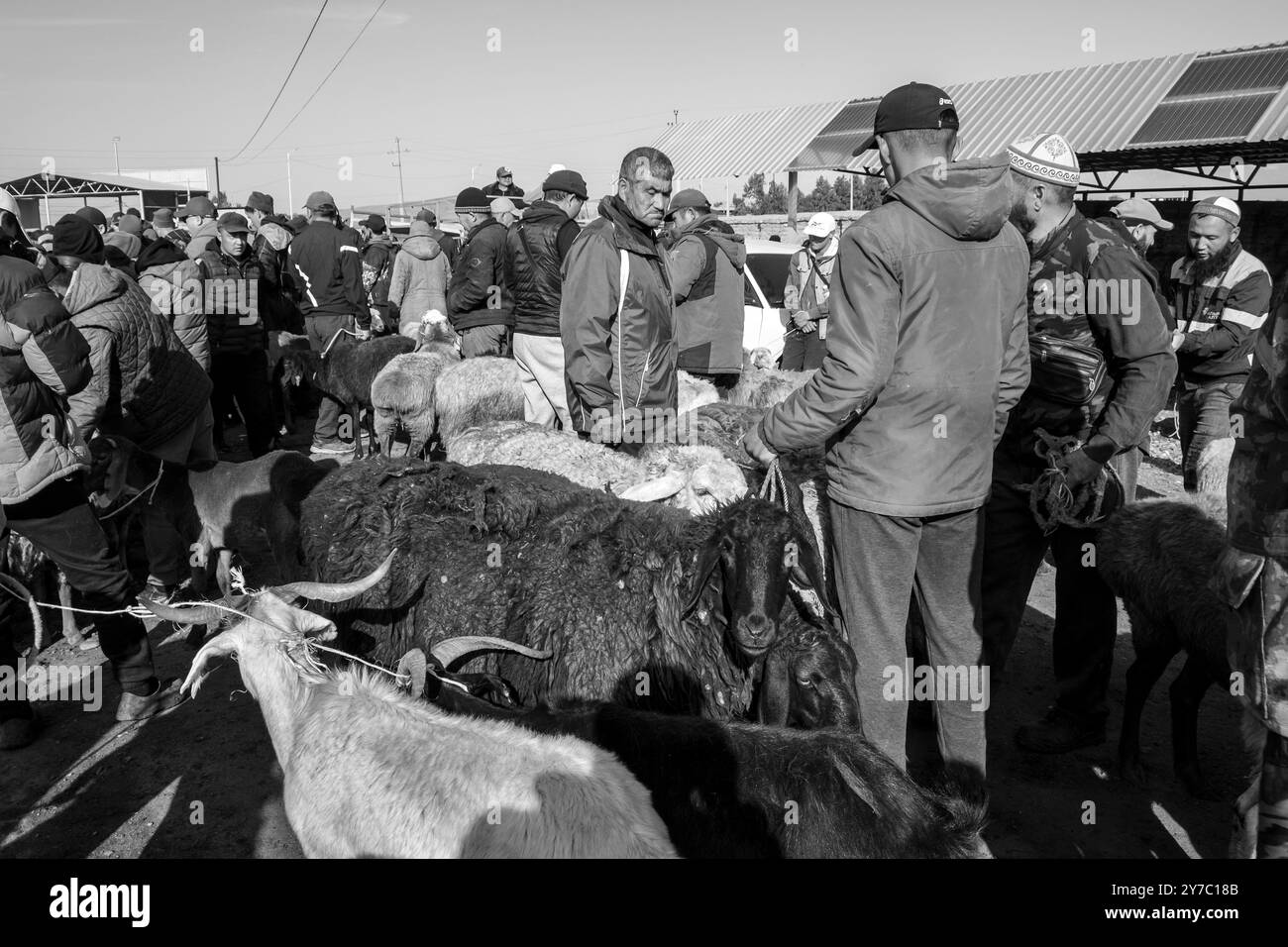 Karakol gorge Black and White Stock Photos & Images - Alamy
