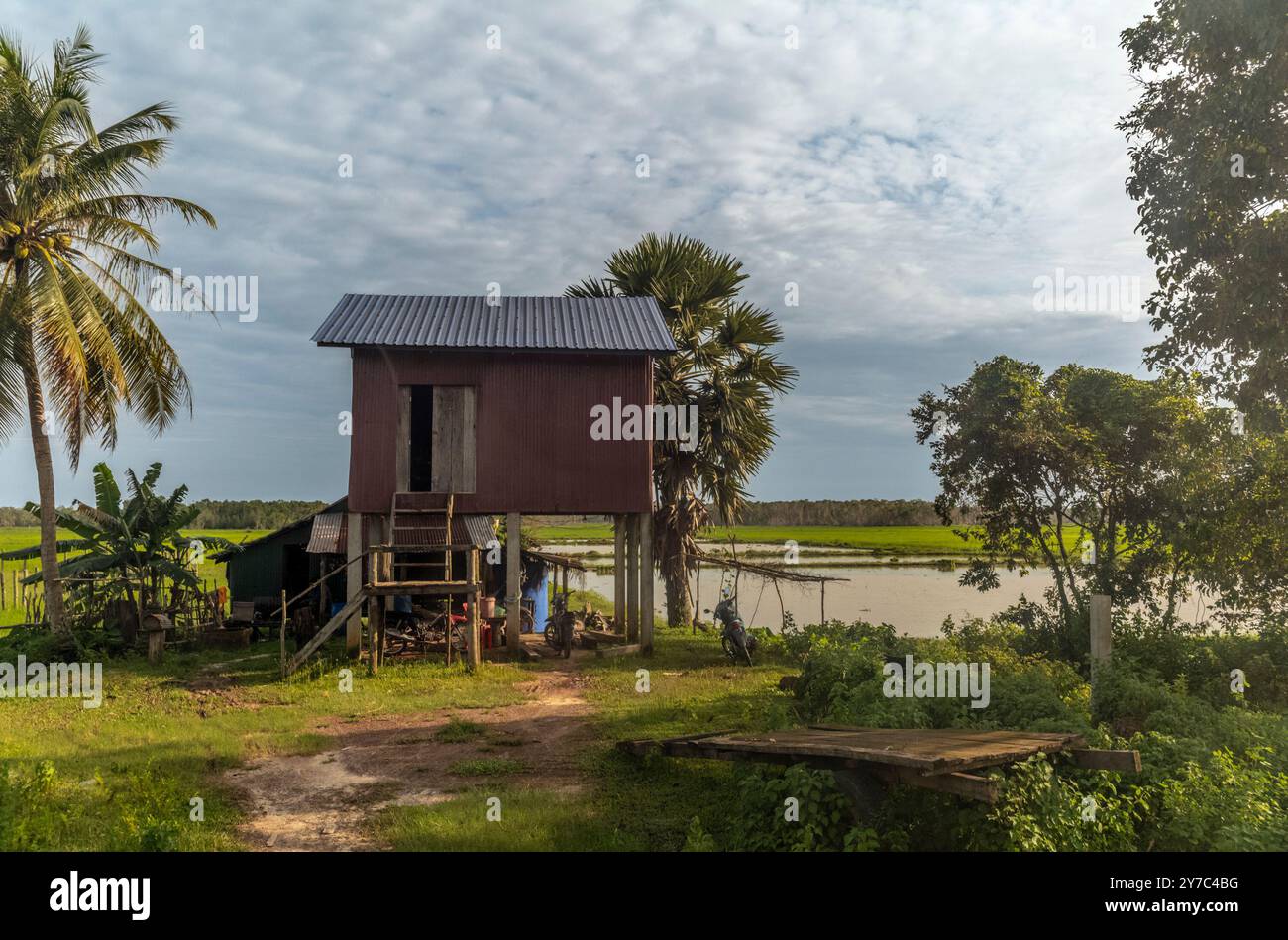 Typical small farm houses in the Cambodian countryside Stock Photo - Alamy