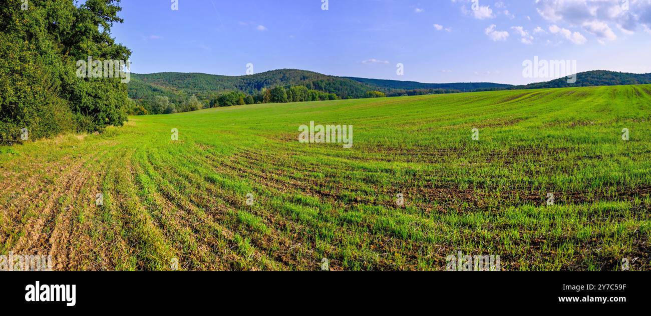 Europe equirectangular map hi-res stock photography and images - Alamy