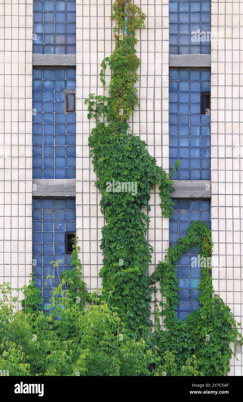 Architecture of old buildings. Facade of an industrial building with ...