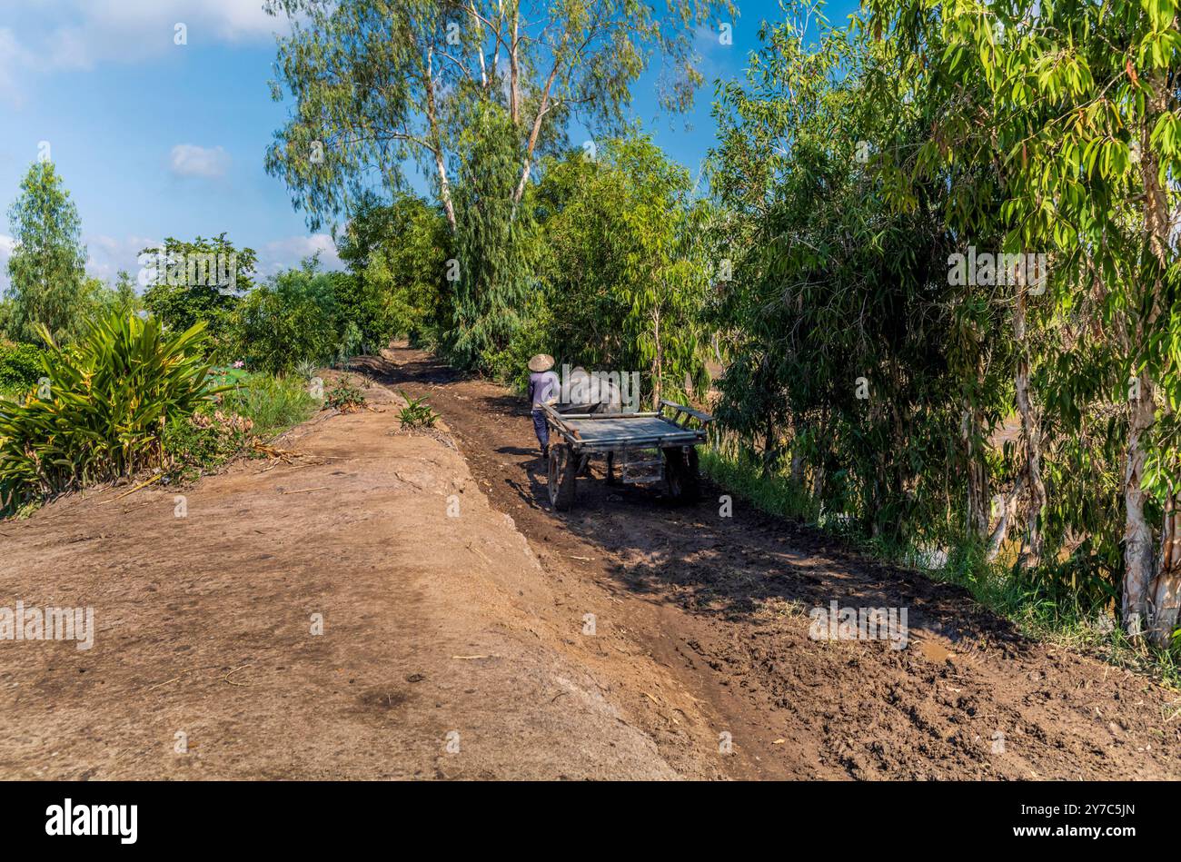 Water pilling hi-res stock photography and images - Alamy