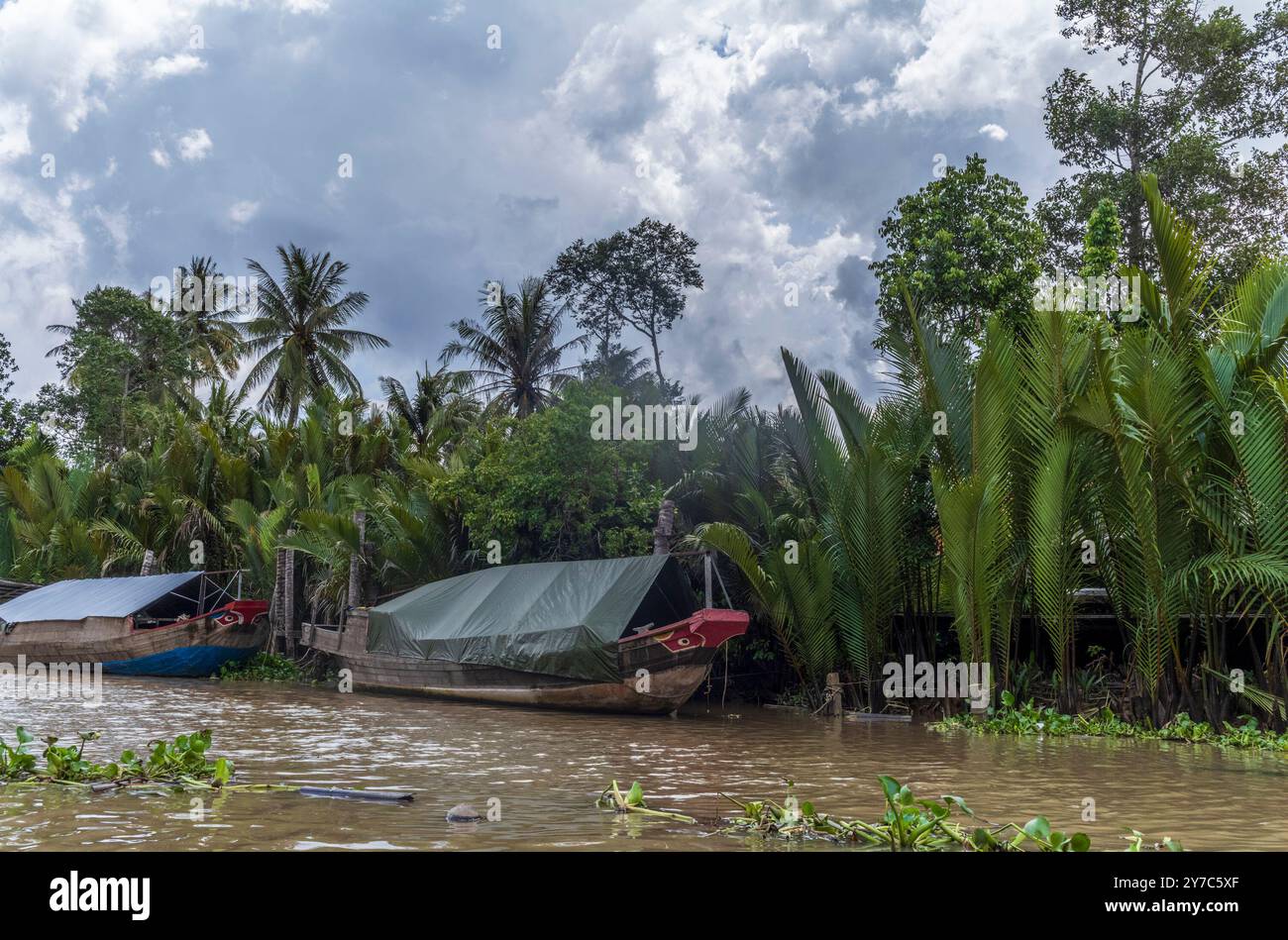 Small paddle boats and sampans in the narrow water canals in Ben Tre in ...
