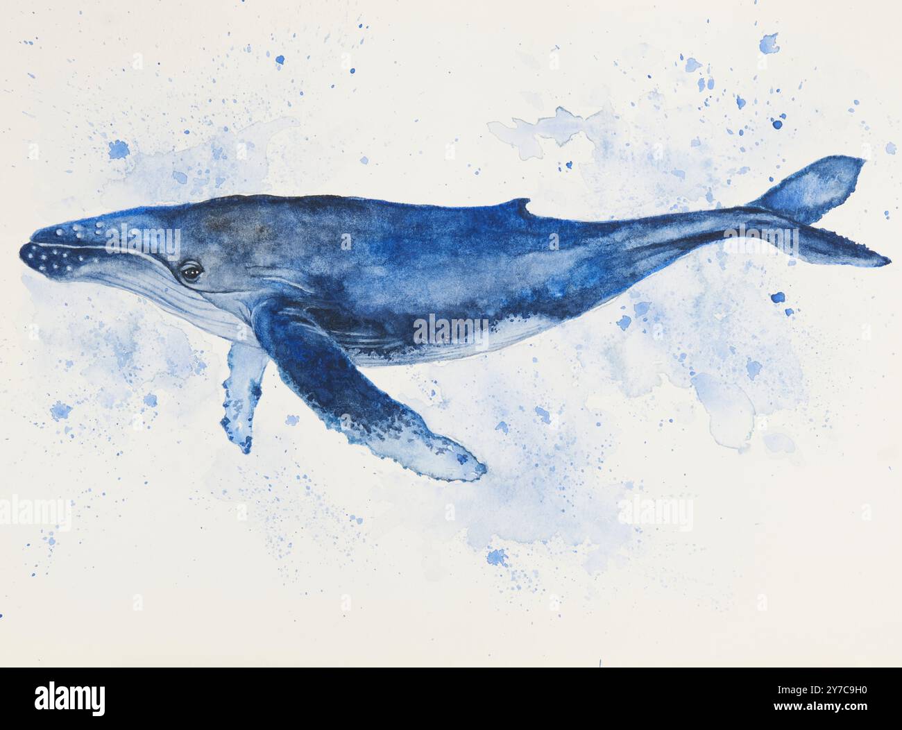 Balena hi-res stock photography and images - Alamy