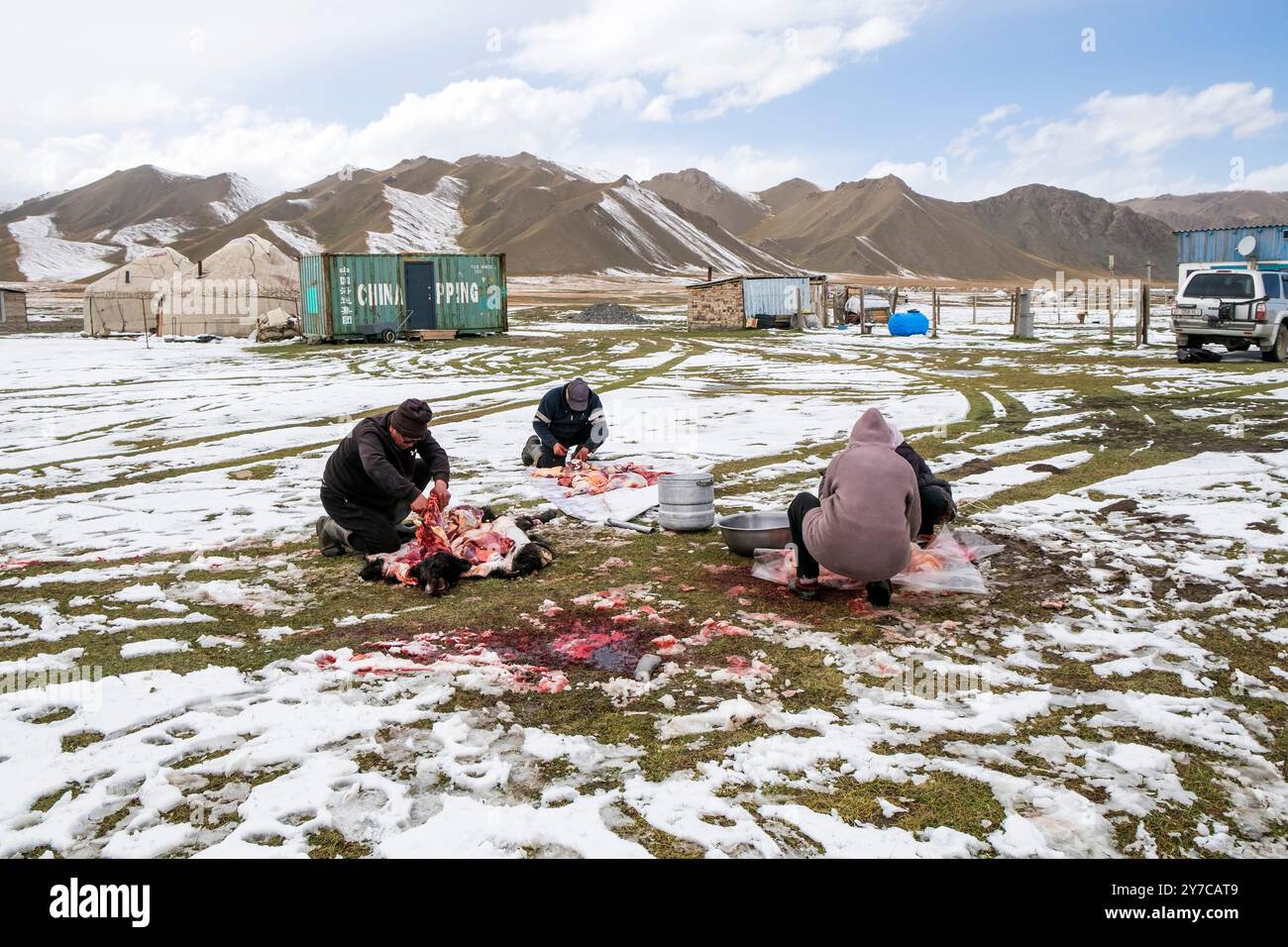 Kyrgyzstan, Kel-Suu village, yak slaughter Stock Photo - Alamy