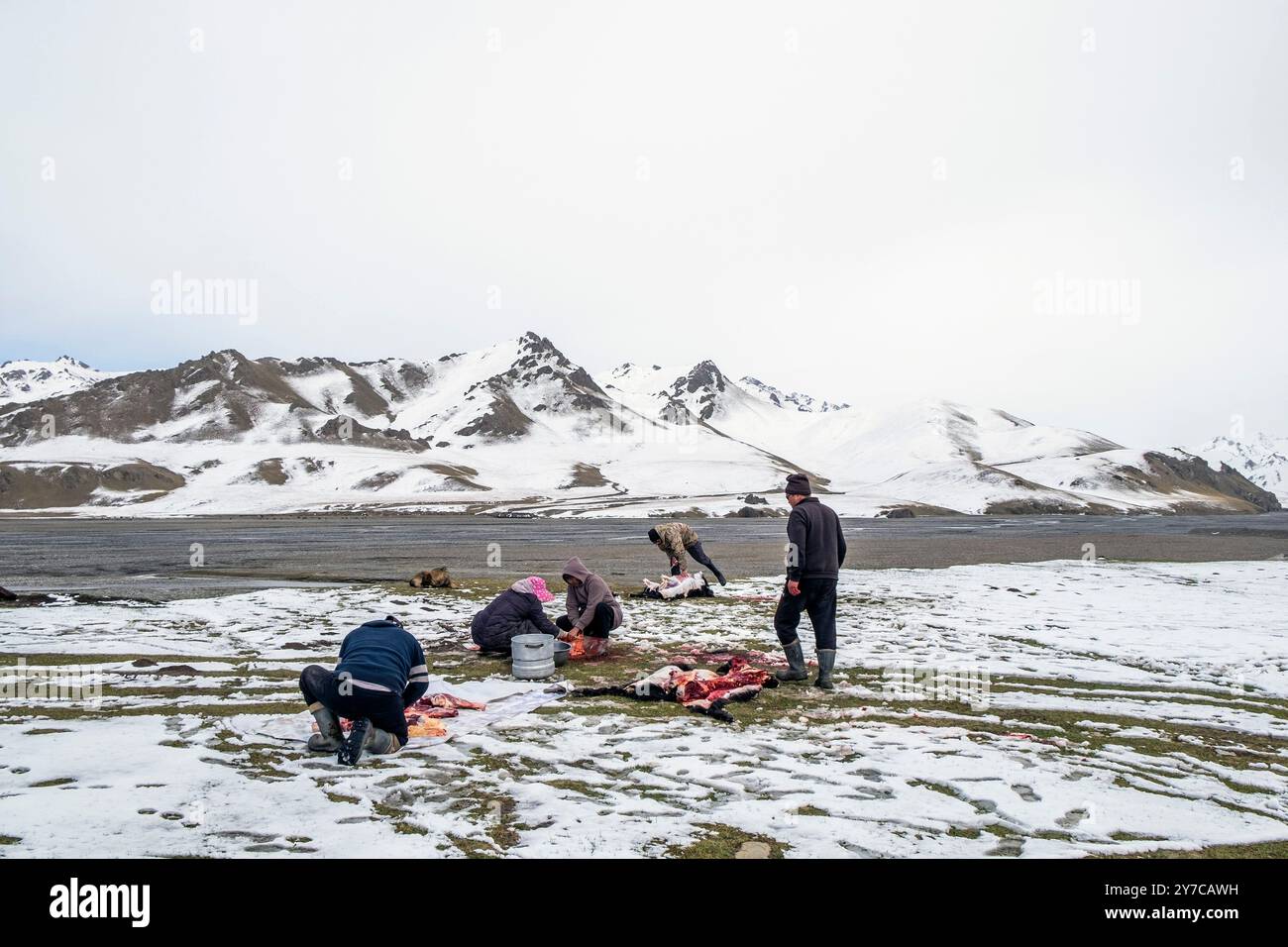 Kyrgyzstan, Kel-Suu village, yak slaughter Stock Photo - Alamy
