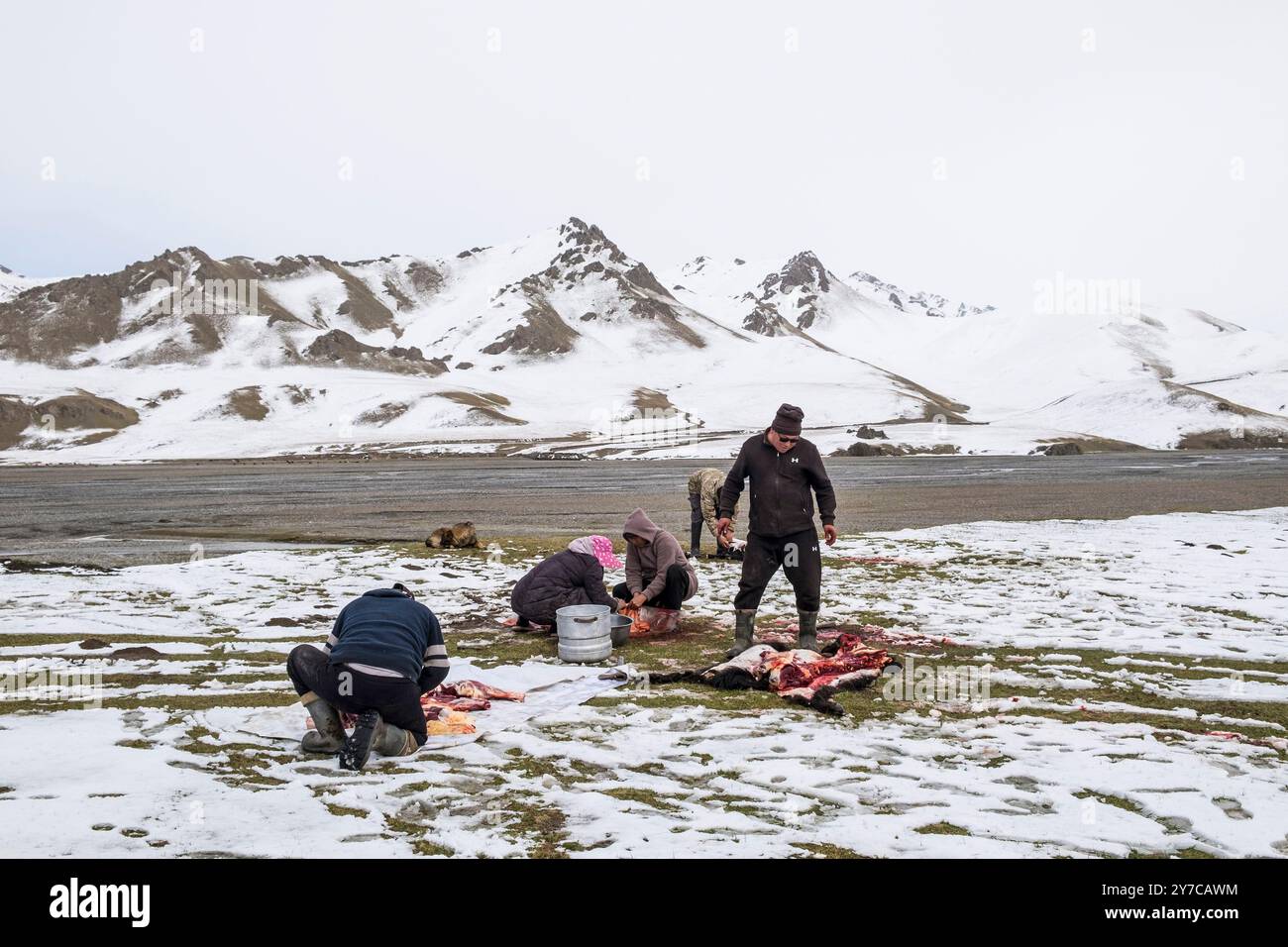Kyrgyzstan, Kel-Suu village, yak slaughter Stock Photo - Alamy