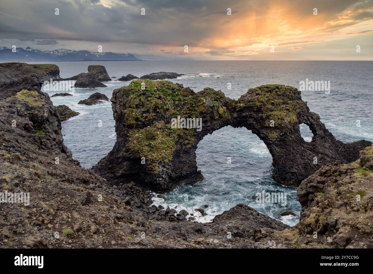 Arnarstapi Iceland. Wild coastal cliffs, view from above with bird ...