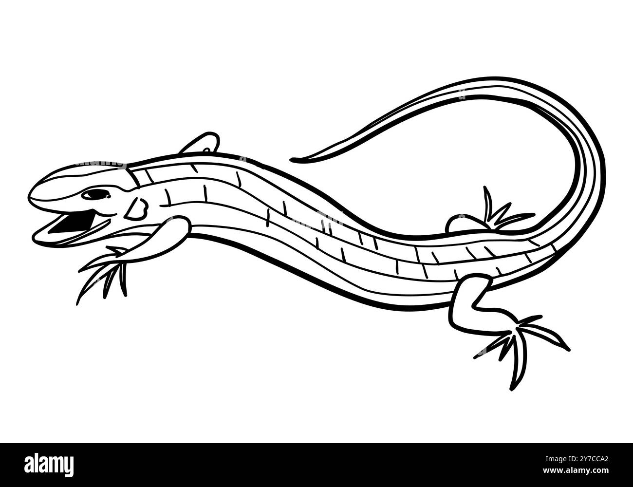 Polynesian lizard tattoo. Vector tattoo design inspired by Tahitian and ...