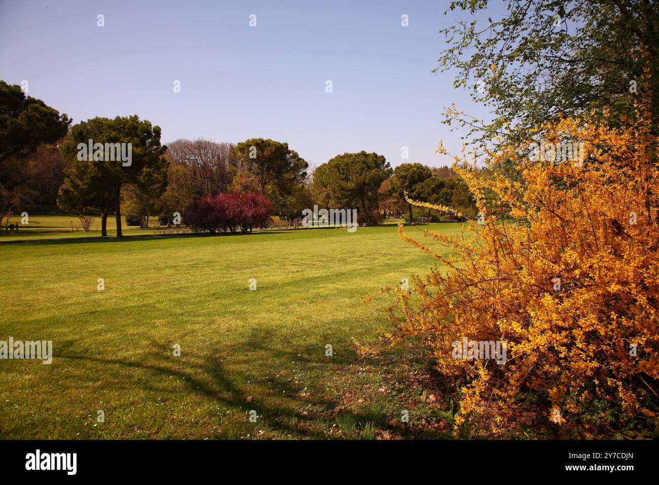 The spectacular spring bloom at the Sigurtà Flower Park, Valeggio sul ...