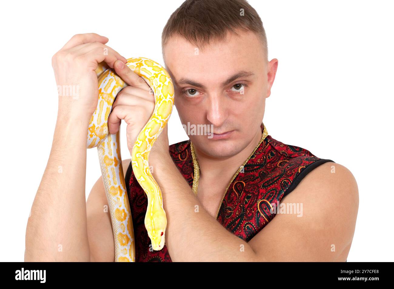 Portrait of Young Caucasian man with Tiger Albino python Stock Photo ...