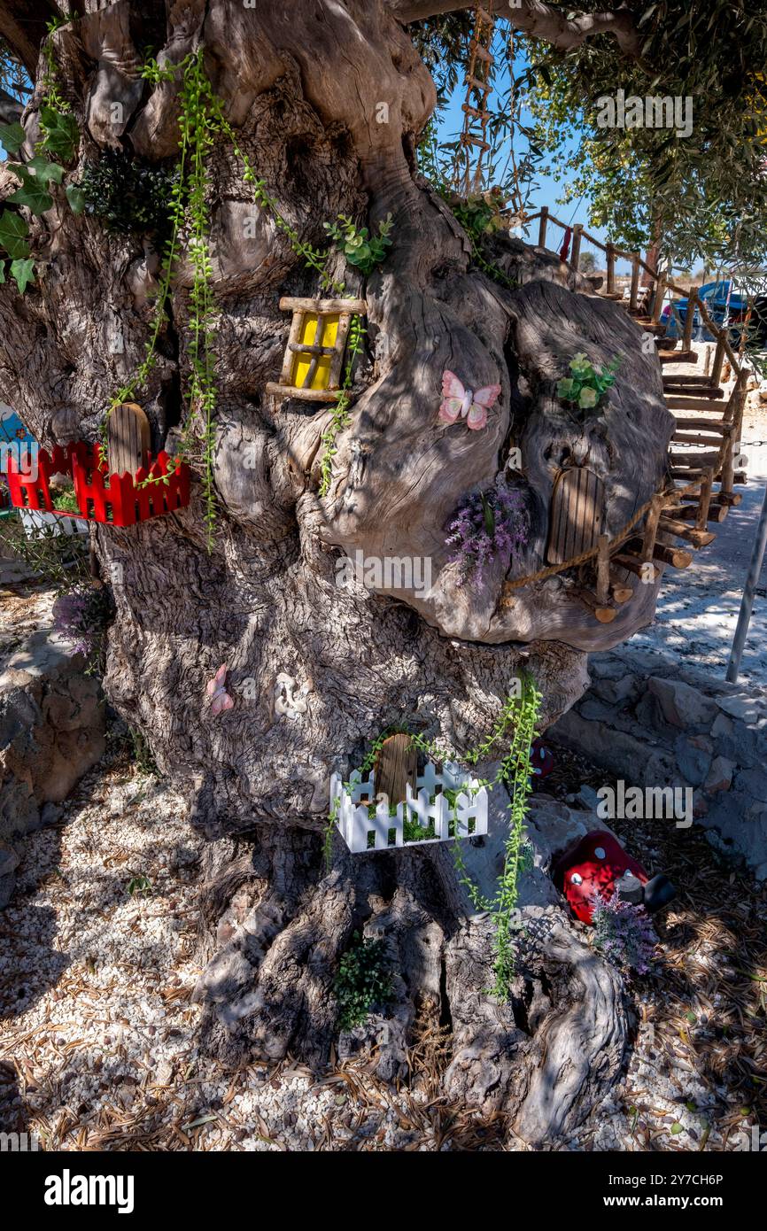 Olive tree fairy treehouse hi-res stock photography and images - Alamy