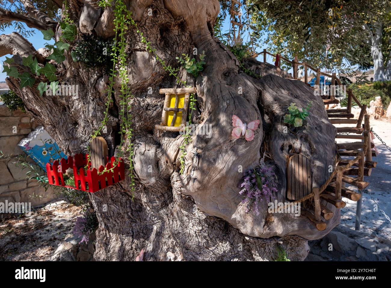 Fairy tree house. Ancient olive tree trunk decorated by created by ...