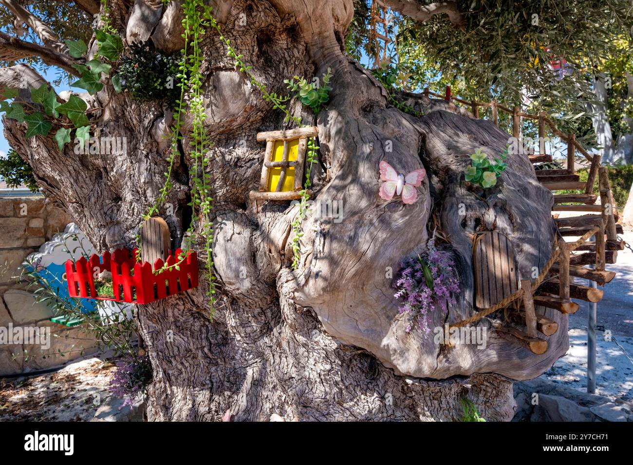 Fairy tree house. Ancient olive tree trunk decorated by created by ...