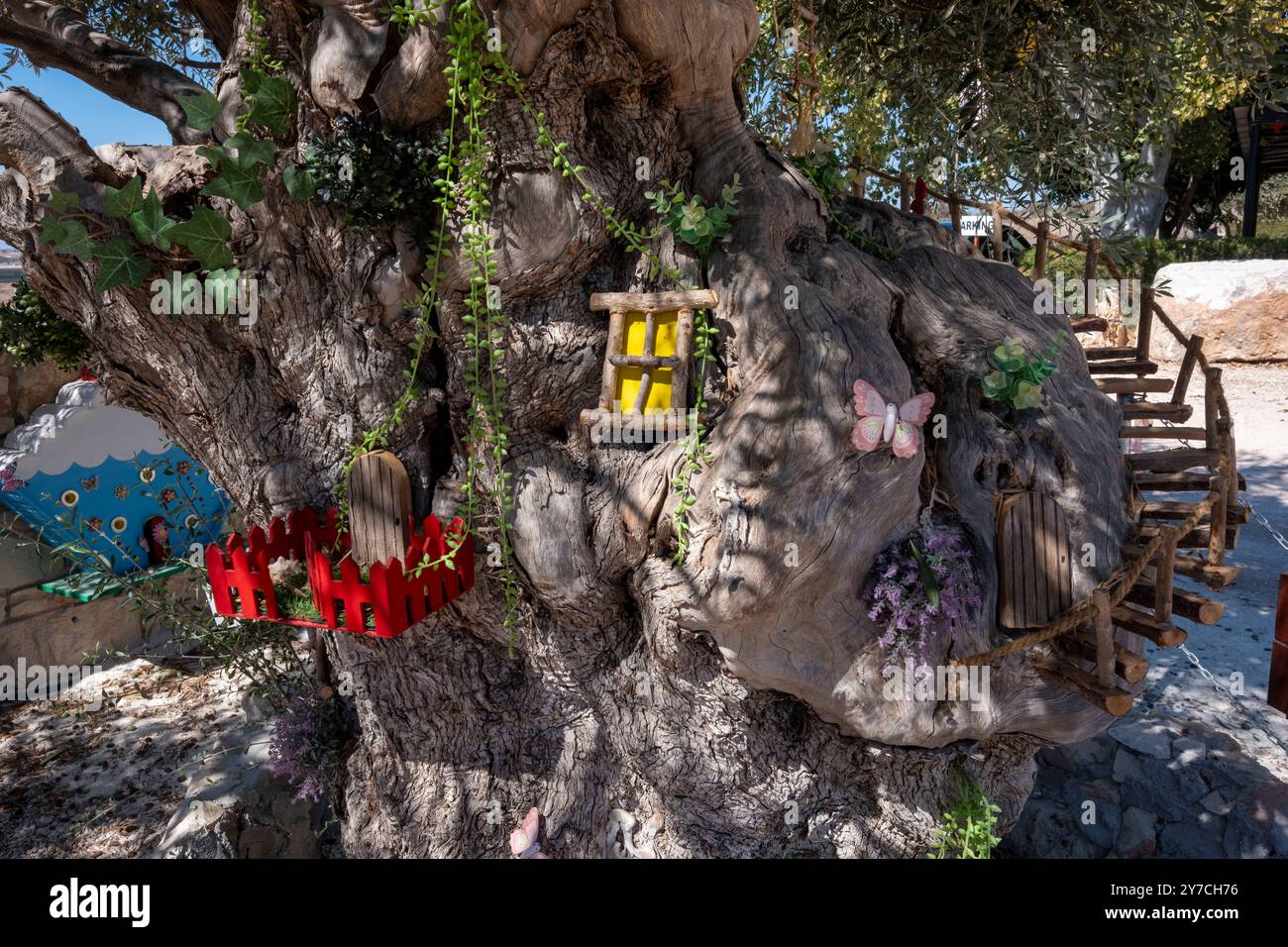Olive tree fairy treehouse hi-res stock photography and images - Alamy