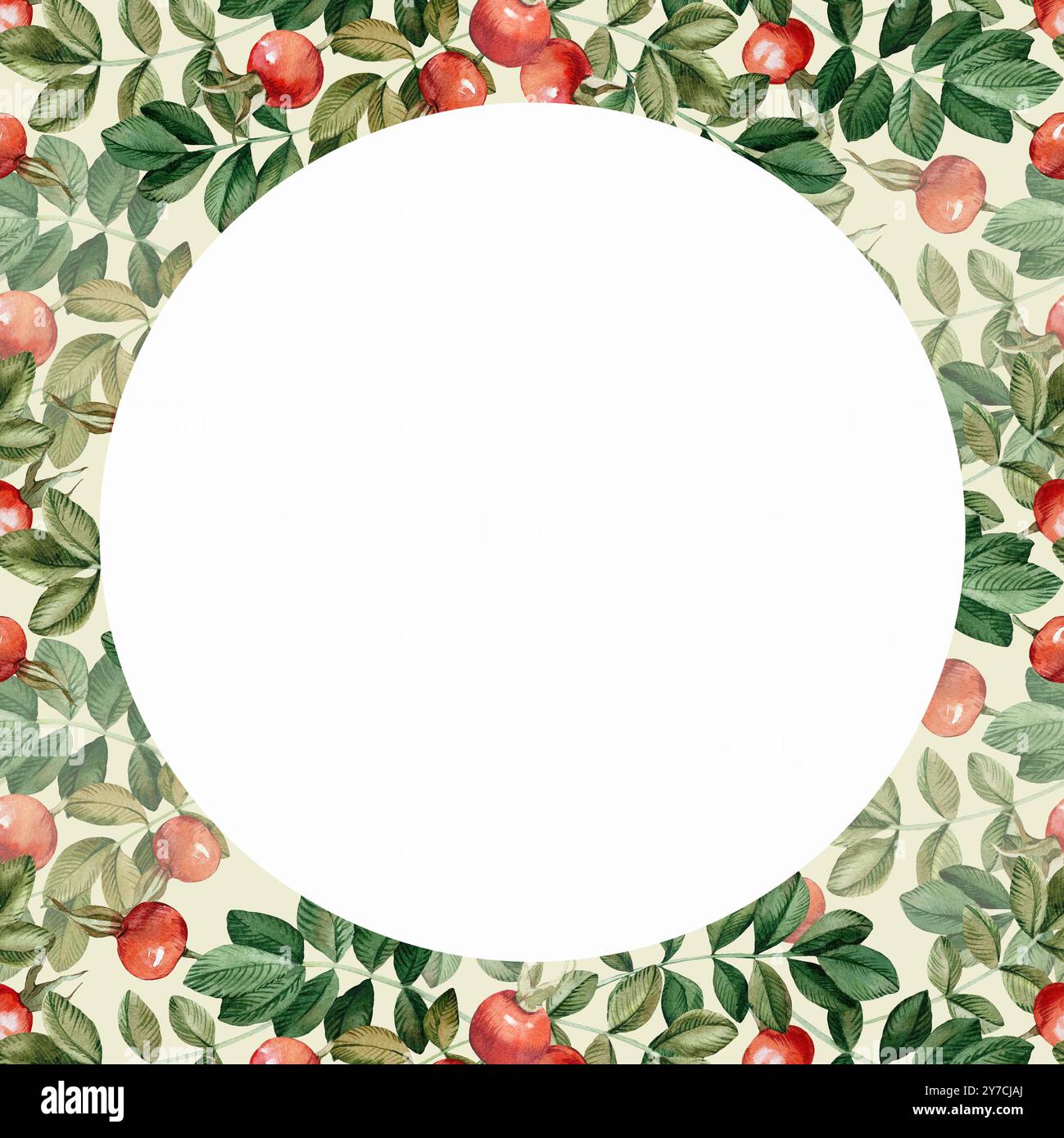 Rose hips watercolor frame on white background. Round frame of leaves ...