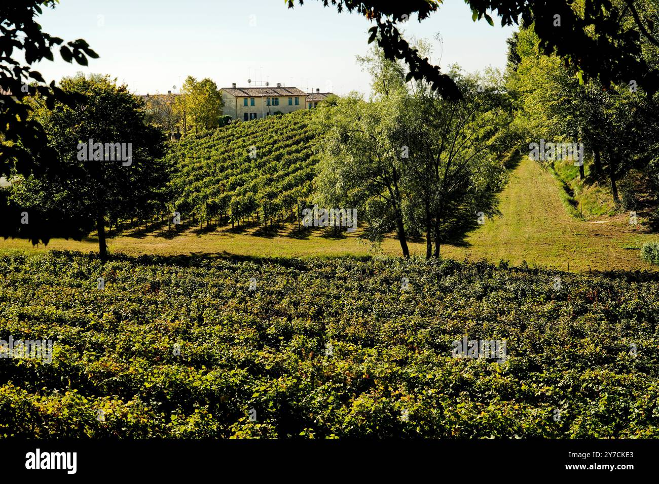 Nestled among the vineyards on the slopes of Montello is the Abbey of ...