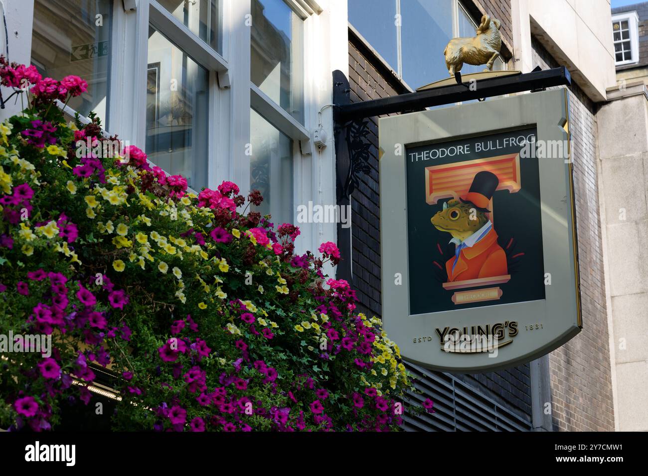 Pub sign of the Theodore Bullfrog in Soho London, England Stock Photo ...