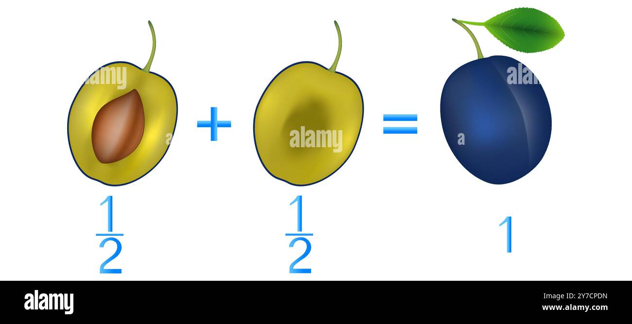 Action relationship of addition halves, examples with plums ...