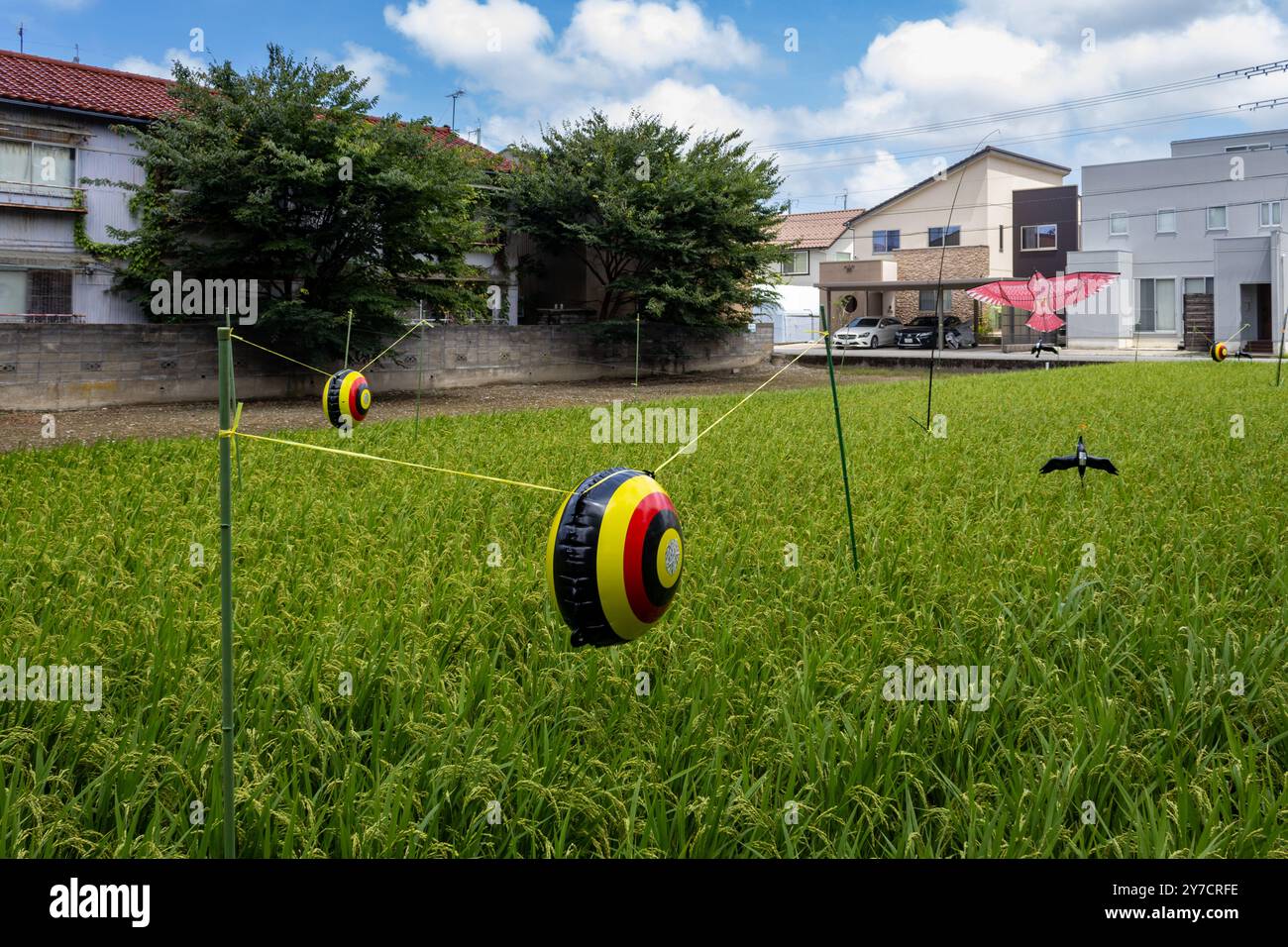 Predator repellent hi-res stock photography and images - Alamy