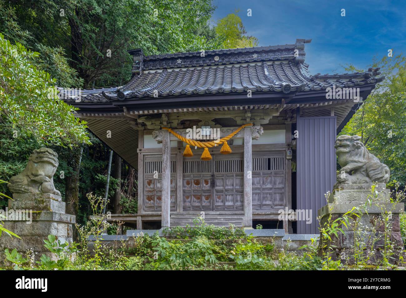 Sacred rope, or shimenawa, and zigzag streamers, or shide, at small ...