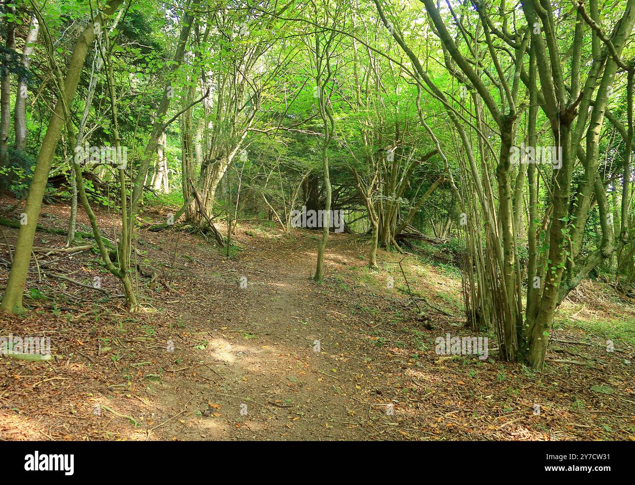 Trosley park hi-res stock photography and images - Alamy