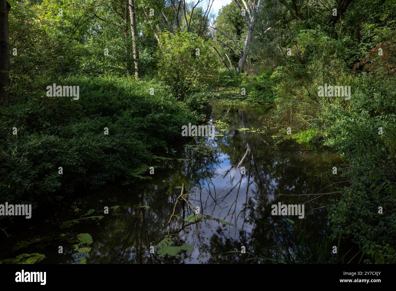 River Deben Loudham Suffolk England Stock Photo - Alamy
