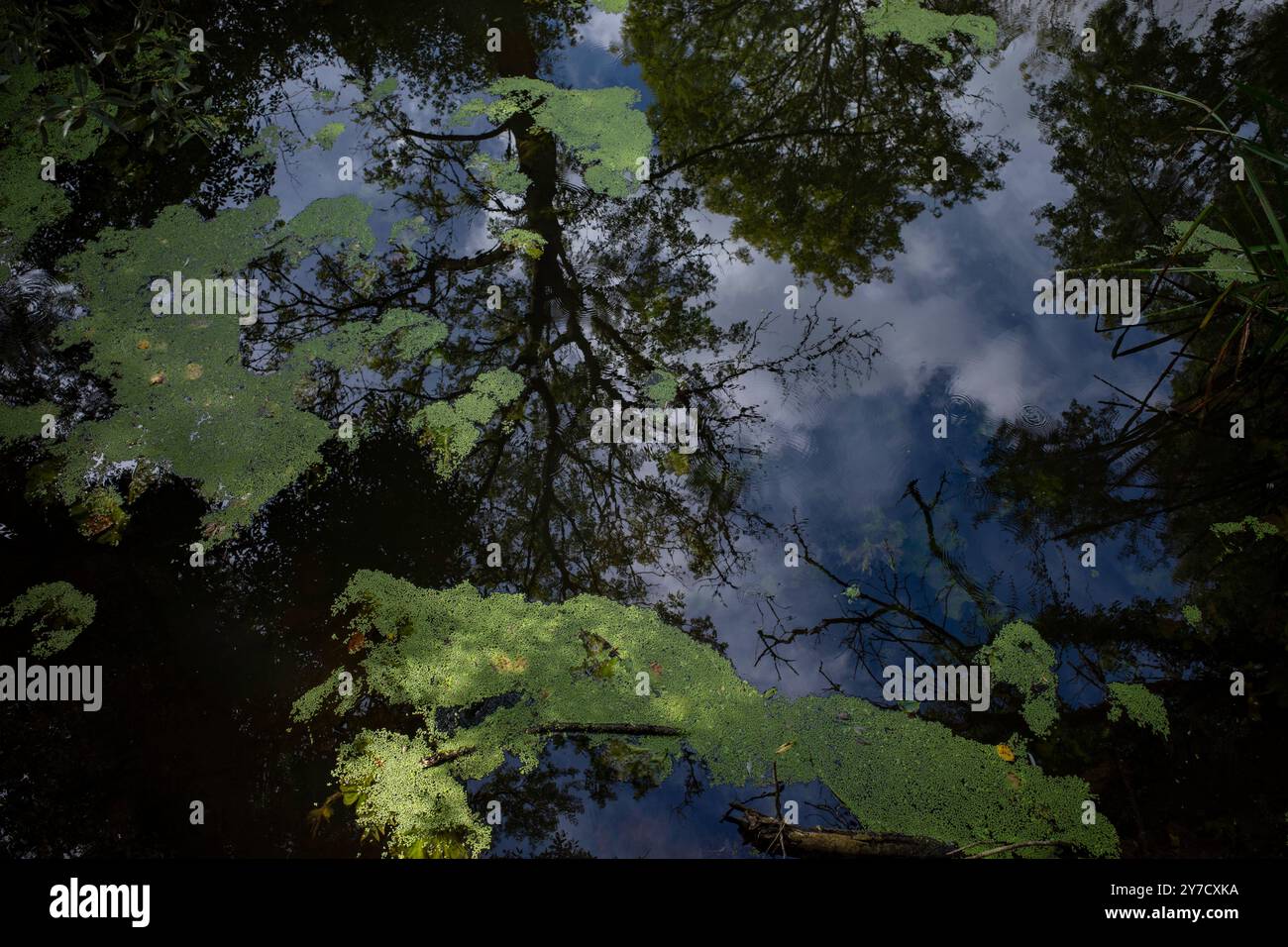 River Deben Loudham Suffolk England Stock Photo - Alamy