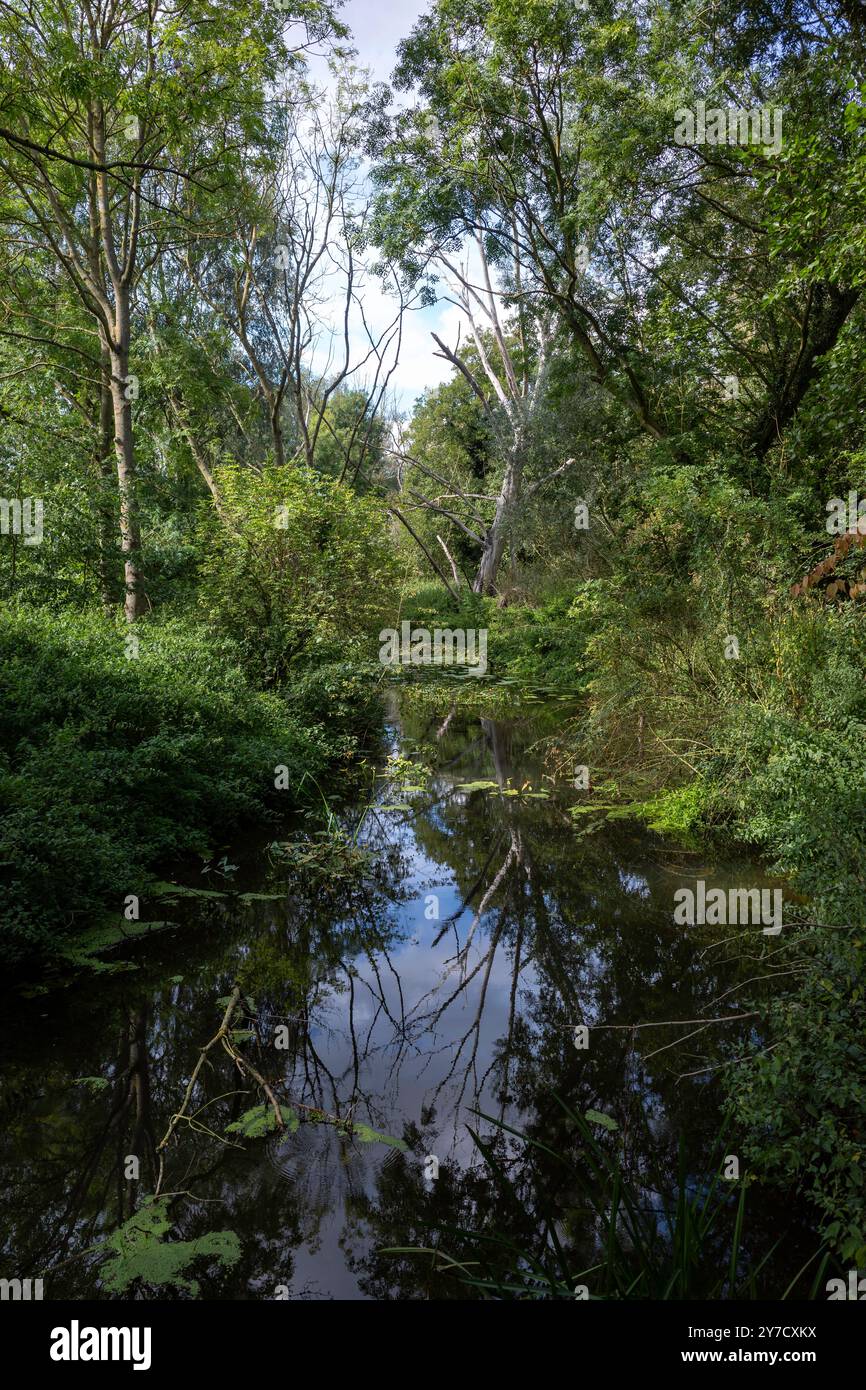 Loudham hi-res stock photography and images - Alamy