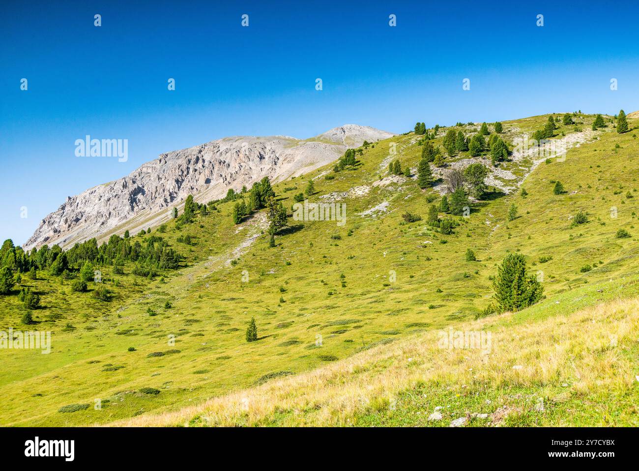 Landscape at the Edge of the Swiss National Park, Buffalora Area ...