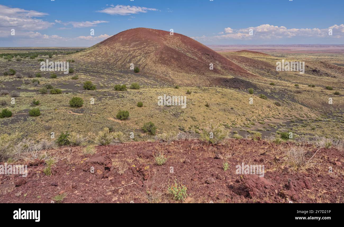 View of Doney Volcanic Crater Mountain near Flagstaff Arizona Stock ...