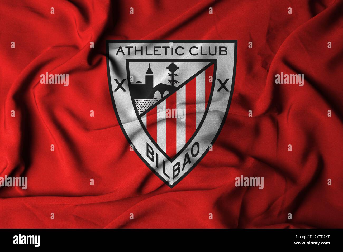 pringsewu, Lampung; October 1, 2024; Selective focus flag logo texture ...