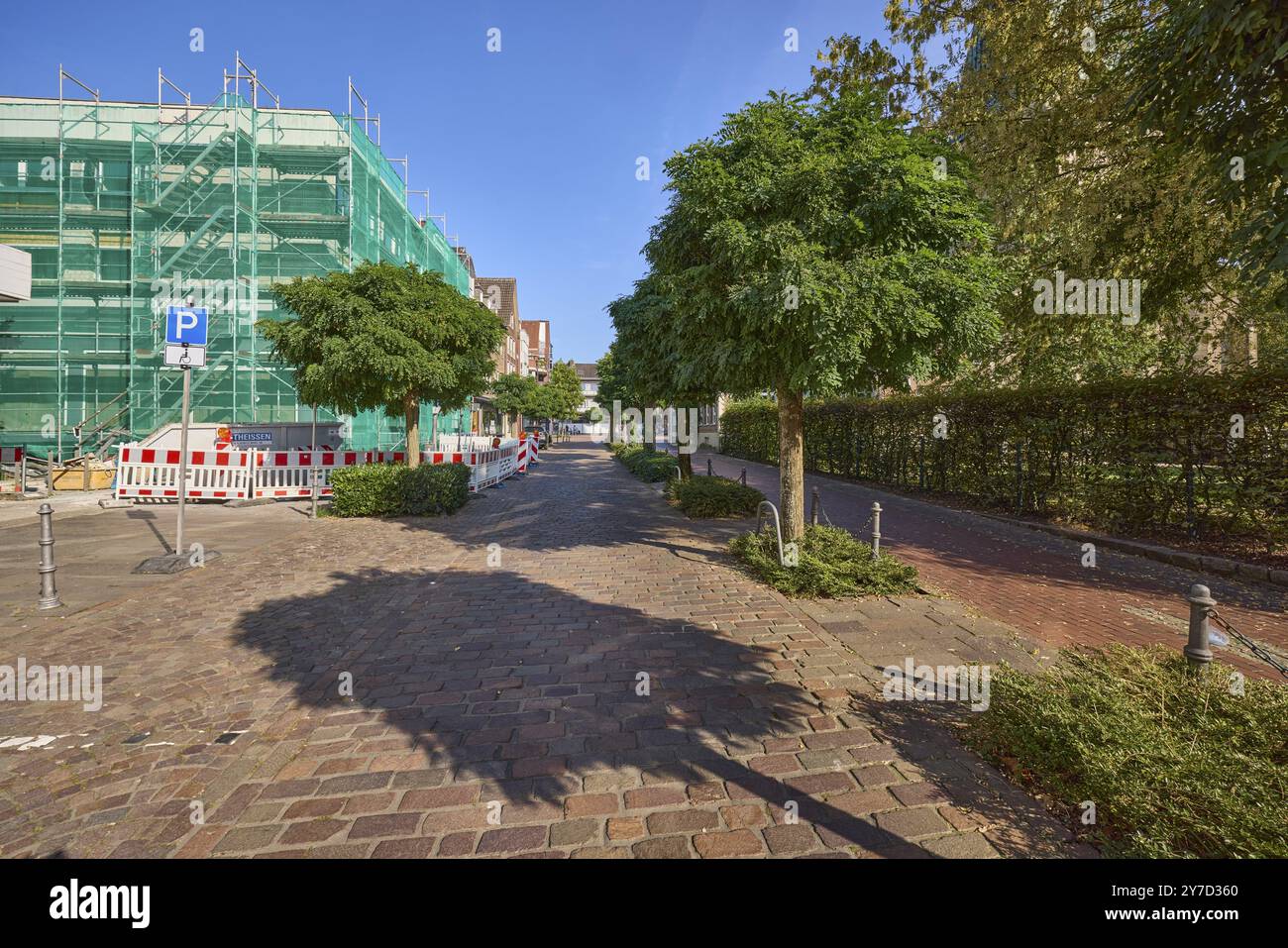 Street with city trees in Bocholt, Muensterland, Borken district, North ...